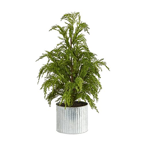 Click here for Nearly Natural 20 Cedar Pine Natural Look In Decor... prices
