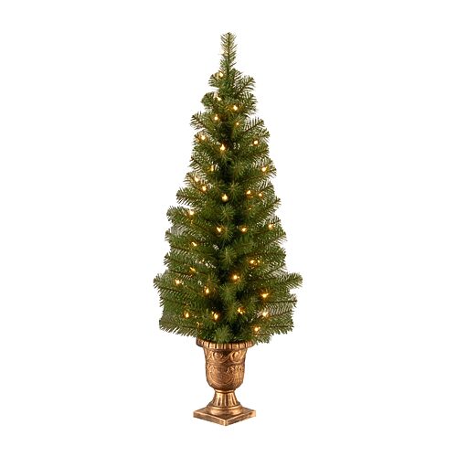 Click here for National Tree Company 4 Montclair Spruce Entrance... prices