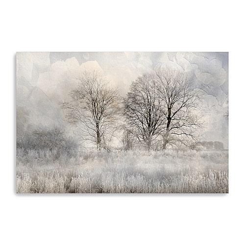 Click here for Lumaprints Winter Frost 3 Canvas Art  One Size  Wh... prices