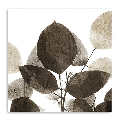 Click here for Lumaprints Chocolate Leaves 1 Canvas Art  One Size... prices