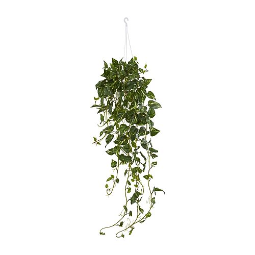Click here for Nearly Natural Pothos Hanging Basket Artificial Pl... prices