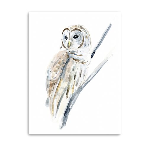 Click here for Lumaprints Arctic Owl I Giclee Canvas Art  One Siz... prices