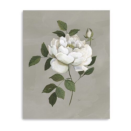 Click here for Lumaprints Botanical Rose Giclee Canvas Art  One S... prices