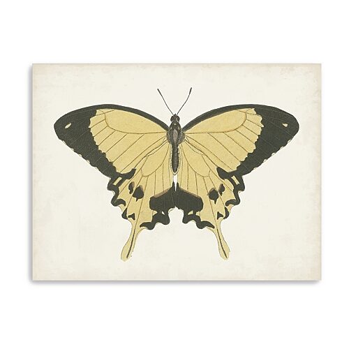 Click here for Lumaprints Beautiful Butterfly I Giclee Canvas Art... prices