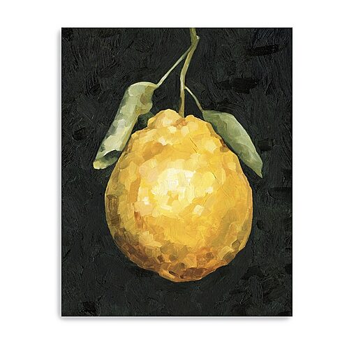 Click here for Lumaprints Dark Lemon Ii Giclee Canvas Art  One Si... prices