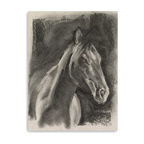 Click here for Lumaprints Charcoal Horse Study On Grey I Giclee C... prices