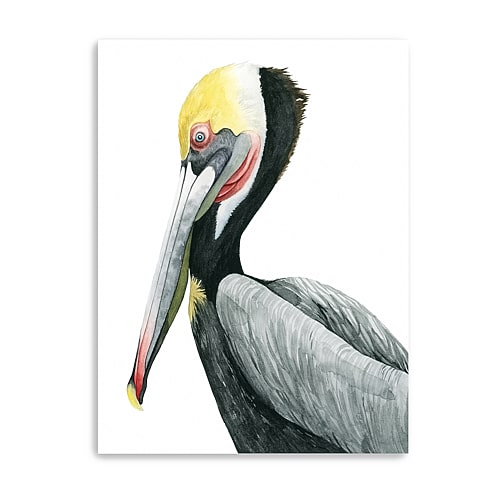 Click here for Lumaprints Watercolor Pelican Ii Giclee Canvas Art... prices