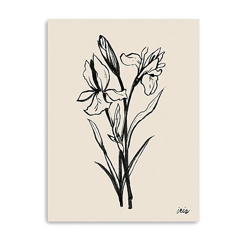 Click here for Lumaprints Iris Sketch I Giclee Canvas Art  One Si... prices