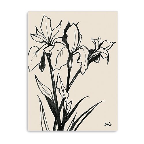 Click here for Lumaprints Iris Sketch Iii Giclee Canvas Art  One... prices