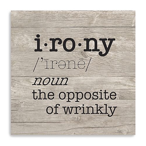 Click here for Lumaprints Laundry Room Humor I-Irony Giclee Canva... prices