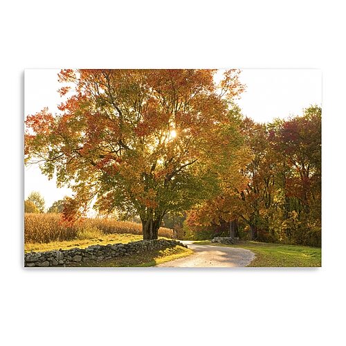 Click here for Lumaprints Maple Tree Drive Giclee Canvas Art  One... prices