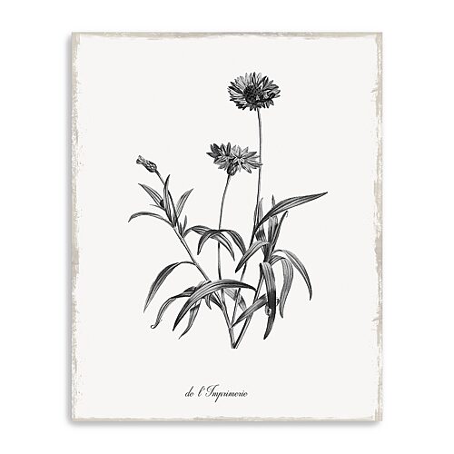 Click here for Lumaprints Simply Imperial Giclee Canvas Art  One... prices