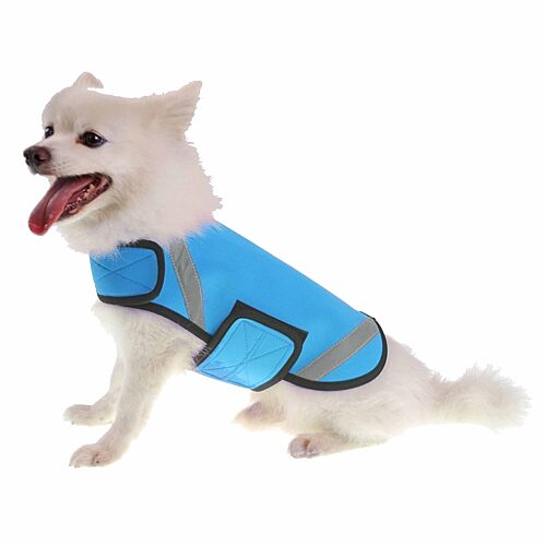 Click here for The Pet Life Extreme Neoprene Multi-Purpose Protec... prices