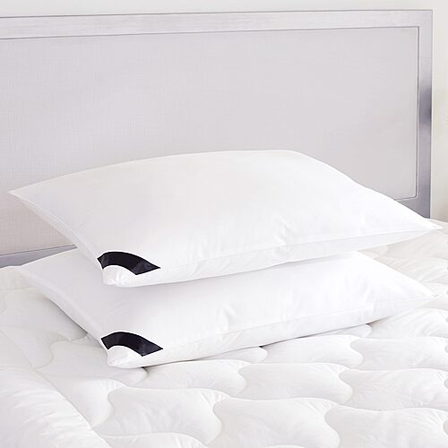Queen Street Elegance 233 Thread Count Cotton Allergen Barrier Down Alternative Soft Density Pillow 2-Pack  One Size  White