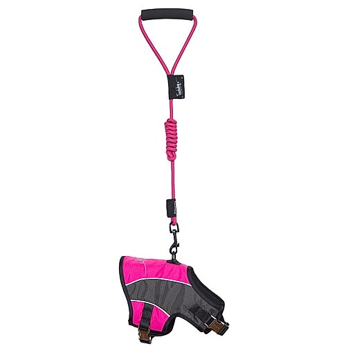 Click here for The Pet Life Touchdog Reflective-Max 2-in-1 Premiu... prices