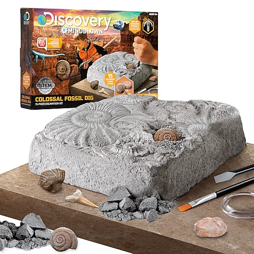 Click here for Discovery #Mindblown Colossal Fossil Dig Set  One... prices