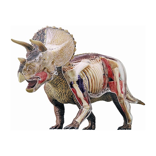 Click here for 4d Master 4d Vision Triceratops Anatomy Model Puzz... prices