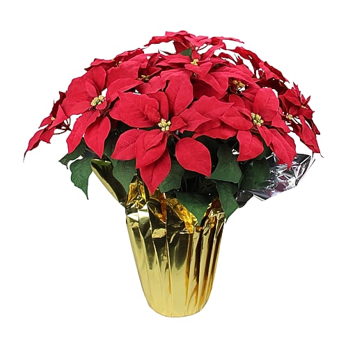Click here for Northlight 28 Red Artificial Poinsettia With Gold... prices