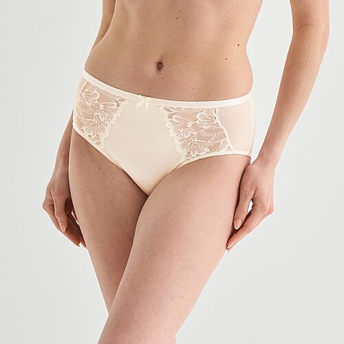 Click here for Ambrielle Tulip Lace Shine Brief Panty  X-large  W... prices