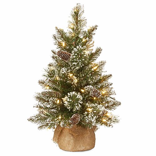 Click here for National Tree Co. Glittery Bristle Pine 2 Foot Pre... prices