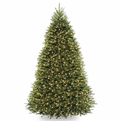 Click here for National Tree Company 9 Dunhill Fir Full-Bodied &... prices