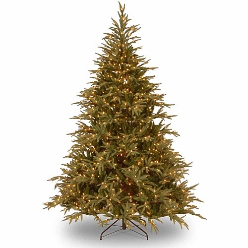 Click here for National Tree Co. Frasier Grande Hinged 6 Foot Pre... prices