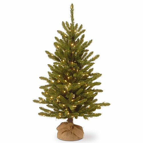 Click here for National Tree 4ft. Kensington Burlap Base Tree prices