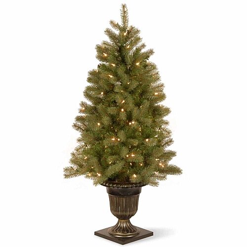 Click here for National Tree 4ft Downswept Douglas Fir Tree prices