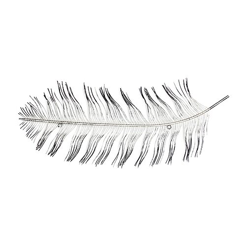 Click here for Peacock Feather Decor Animals Metal Wall Art  One... prices