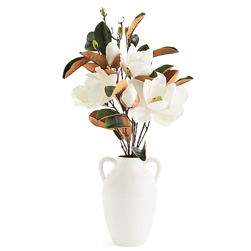 Click here for Linden Street Magnolia Floral Arrangement  One Siz... prices