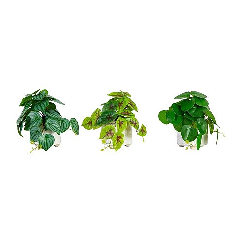 Click here for Nearly Natural 3-pc. 8in. Green Mixed Greens Artif... prices