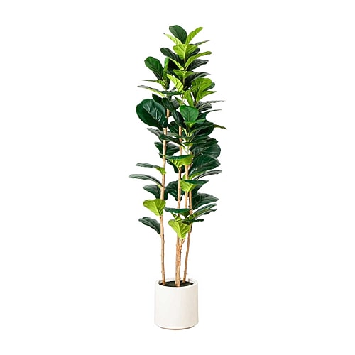 Click here for Nearly Natural 6ft. Green Fiddle Leaf Indoor Artif... prices