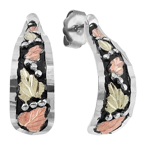 Click here for Landstroms Black Hills Gold Brass Hoop Earrings  O... prices