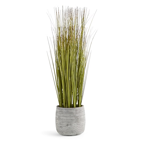 Click here for Linden Street 29in Lemongrass Artificial Plant  On... prices