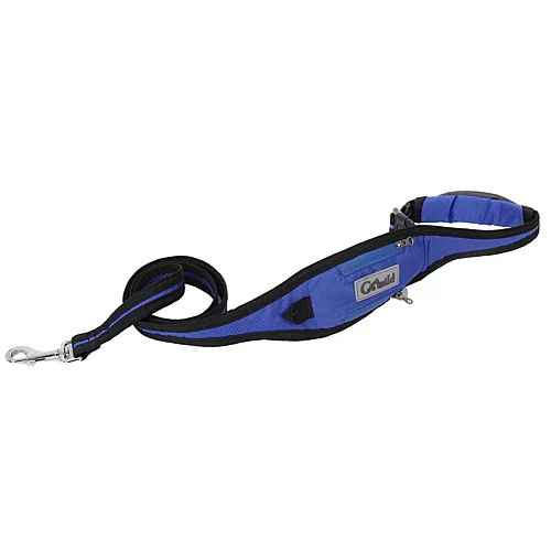 Click here for Pet Life Dog Leash  One Size  Blue prices
