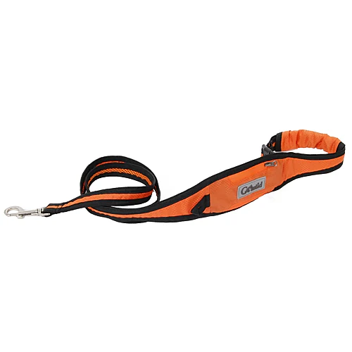 Click here for Pet Life Dog Leash  One Size  Orange prices