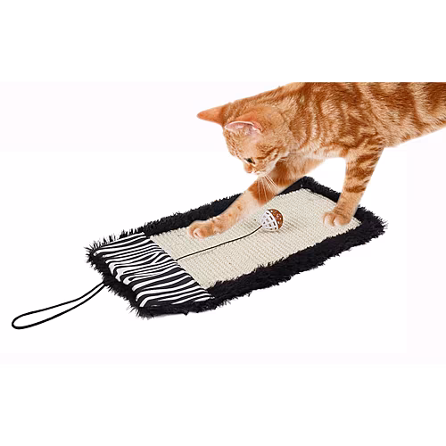 Click here for Pet Life Cat Scratcher  One Size  Black prices