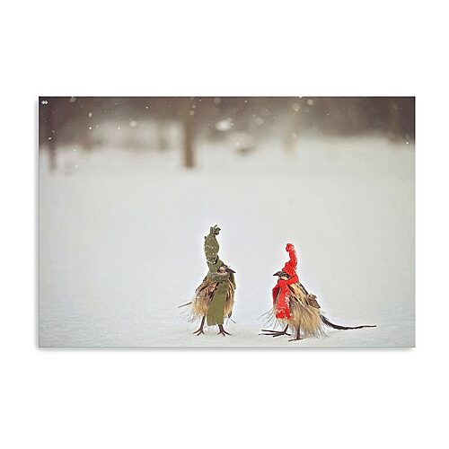 Click here for Lumaprints Weathered Feathered Friends Canvas Art... prices