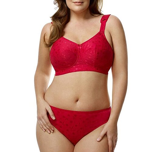 Click here for Elila Jacquard Panty  4x  Red prices