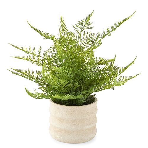 Click here for Linden Street 16.5in Fern Artificial Plant  One Si... prices