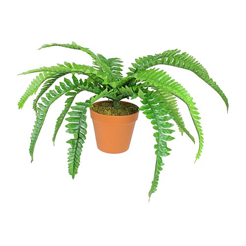 Click here for 15.75 Potted Artificial Long Green Boston Fern Pla... prices