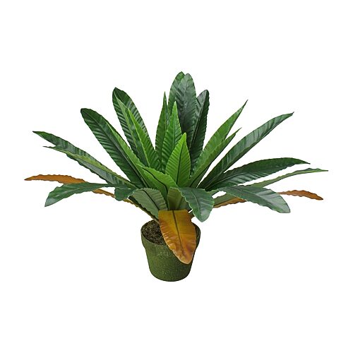Click here for 22 Potted Artificial Green and Brown Bird Nest Fer... prices