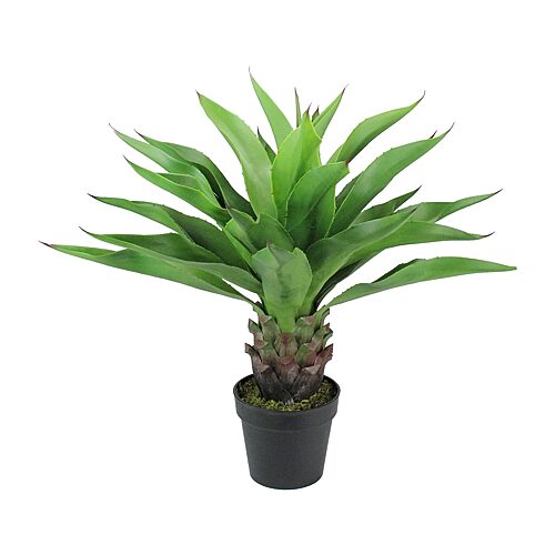 Click here for 30.5 Brown and Green Artificial Agave Succulent Pl... prices