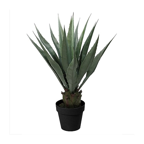 Click here for 30 Green and Brown Potted Artificial Agave Succule... prices