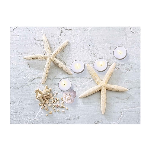 Click here for LED Lighted Starfish Seashell and Tea Light Candle... prices