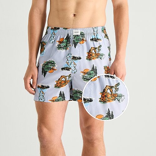 Click here for Arizona Mens Boxers 370609  Medium  Gray prices