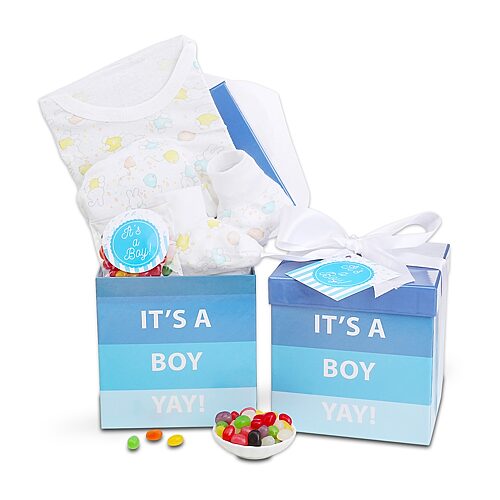 Click here for Alder Creek Gift Baskets Its a Boy Baby Gift Box... prices