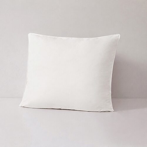 Click here for Bebejan Sustainable Down Alternative Pillow Insert... prices