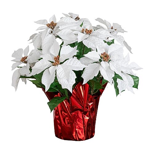 Click here for Nearly Natural 19 White Poinsettia Floral Arrangem... prices