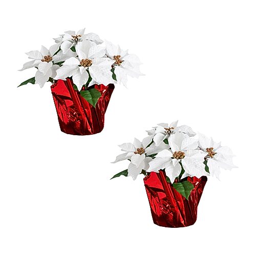 Click here for Nearly Natural 13 Poinsettia Arrangement 2-pc. Flo... prices